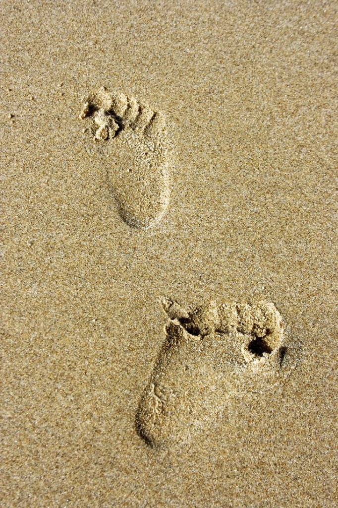 Baby Steps | Faith & Heritage